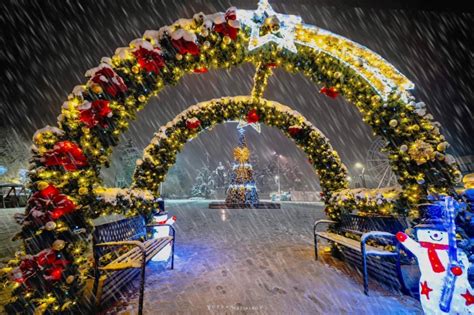 Светлините на коледната елха във Враца грейват на 29 ноември