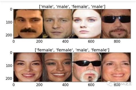 【小白学习pytorch教程】十四、迁移学习：微调resnet实现男人和女人图像分类 Csdn博客