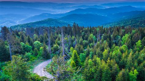 รูปภาพturrent เลือกดูภาพถ่ายสต็อก เวกเตอร์ และวิดีโอ67739 Adobe Stock รูปภาพturrent เลือกดูภาพถ่ายสต็อก เวกเตอร์ และวิดีโอ67739 Adobe Stock