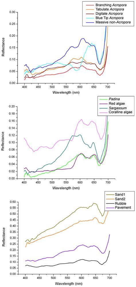Spectral Reflectance Mean Values For Selected Hard Corals Top