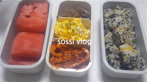 Eng 도시락 브이로그🍱 집순이 직장인의 도시락 모음집 식비절약 메추리알장조림 애호박전 오징어볶음 햄야채볶음밥 Youtube