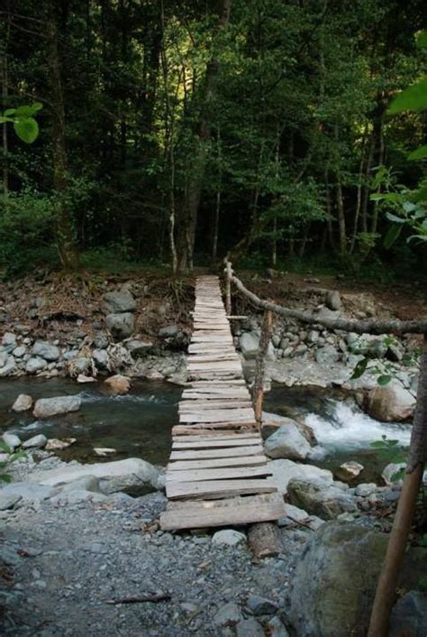 ლაგოდეხის ნაკრძალი გურგენიანის ჩანჩქერი კახეთი 0 Gel ჯეორჯიკა ვოიაჟი
