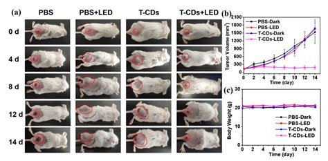 Molecules Free Full Text Carbon Dots Derived From Tea Polyphenols