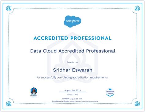 Sridhar E On Linkedin Salesforcecertified Datacloud