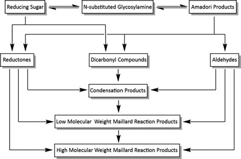 General Overview Of The Maillard Reaction Pathway Highlighting The