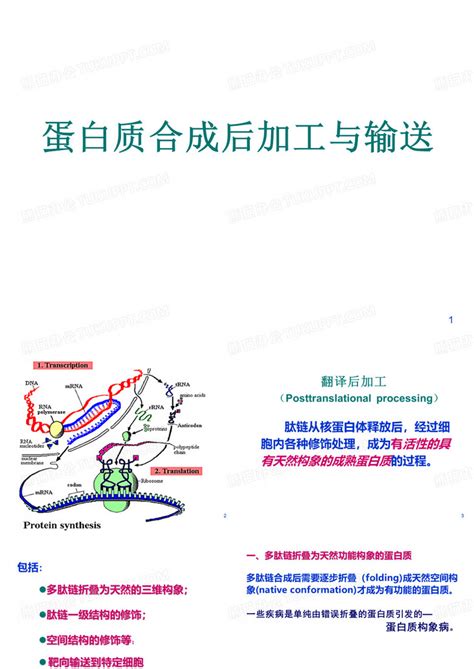 生化PPT模板下载 编号lwegvnpm 熊猫办公