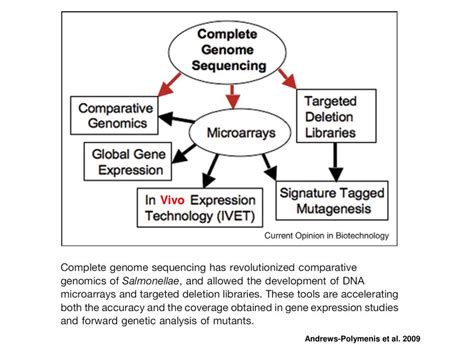 PPT Genome Sequencing And Annotation PowerPoint Presentation Free Download ID 5778288