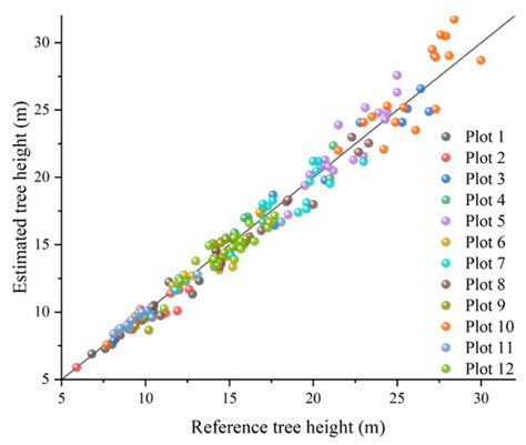 Individual Tree Detection Itd And Its Applications