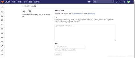 Windows 环境下git首次连接gitlab 你的gitlab服务器地址 是什么 Csdn博客