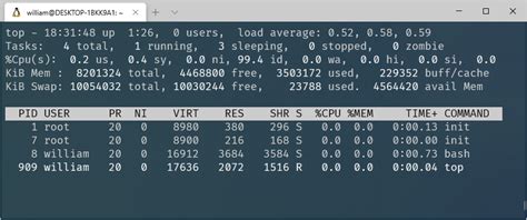 Net Blog Using Wsl To Get A Better Terminal And Run Linux Programs Under Windows