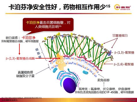 学术课件详情