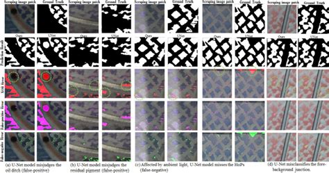 Three Causes A C Of Misjudgment On The U Net Model Are Oil Ditch Download Scientific Diagram