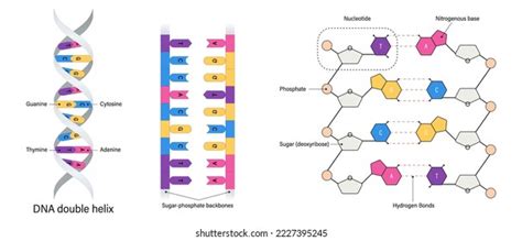 Thousand A Fangsung Royalty Free Images Stock Photos Pictures Shutterstock