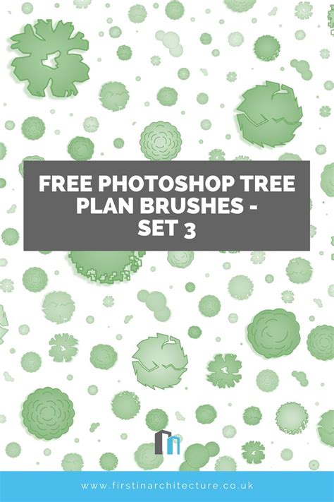 Free Photoshop Tree Plan Brushes Set 3 In 2024 Tree Plan Free Photoshop Photoshop