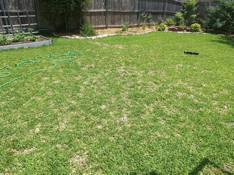 Brown Spots On My Lawn F