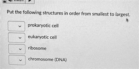 put the following structures in order from smallest to largest