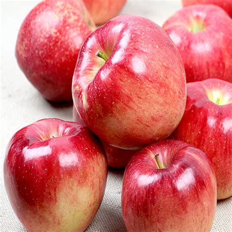 [강원도 인제 꿀사과] 햇사과 홍로 가정용흠과 10kg