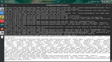 Monai Label And D Slicer Cuda Out Of Memory Project Monai Monailabel Discussion Github