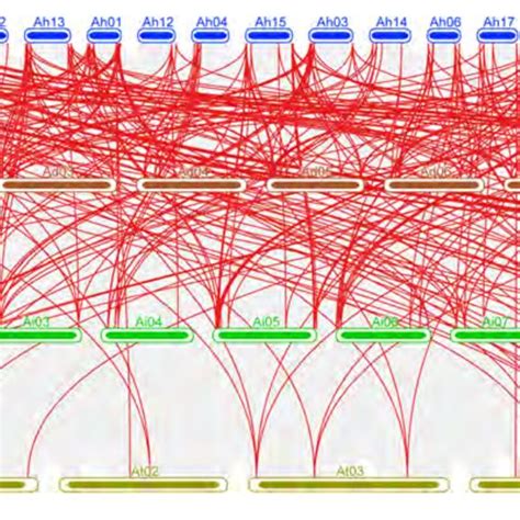 Multiple Collinearity Analysis Of APX Genes Between A Hypogea A Download Scientific