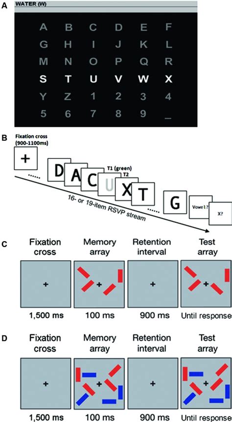 Tasks Presented To Participants A P300 Speller Interface B Rsvp Download Scientific