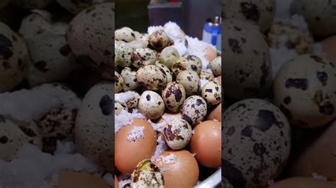 Nilagang Itlog Ng Pugo At Manok Youtube