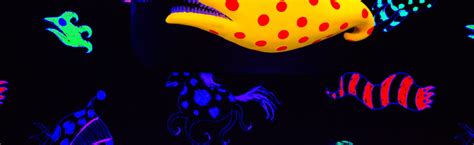 Github Gyakhoe Flutter Animation Animation With Flutter