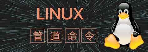 Linux 管道命令 执拗前行 做一个永远学习的开发者