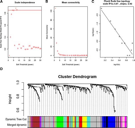 Analysis Of Network Topology For Various Soft Thresholding Powers A Download Scientific