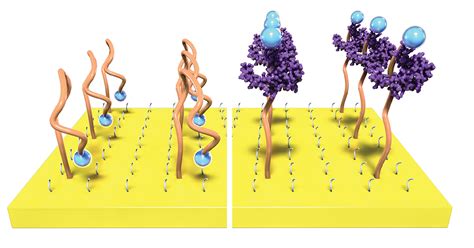 Plastic Transistor Amplifies Biochemical Sensing Signal News