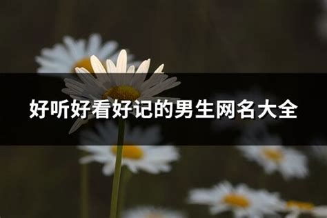好听好看好记的男生网名大全 146个 淘名吧网