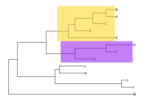 Visualizing And Annotating Phylogenetic Trees With Rggtree