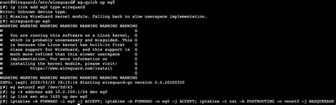 Wireguard wireguard on LXC Go版本安裝 pveCLI