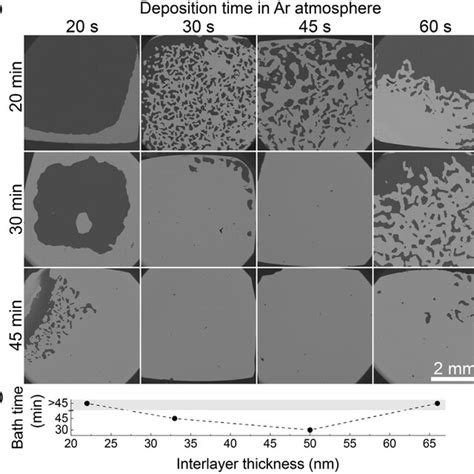 A Top View Bse Images Show That A Metallic Interlayer Increases The Download Scientific