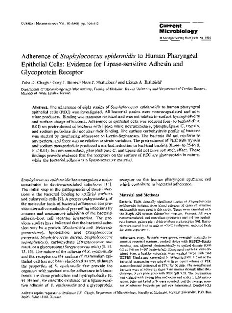 Pdf Adherence Of Staphylococcus Epidermidis To Human Endothelial Cells Is Associated With A