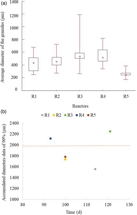 A Box Plot Of The Average Diameter Of The Granules Of The Reactors Download Scientific