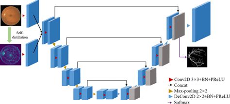 Network Architecture For The Retinal Vessel Segmentation In The First Stage Download