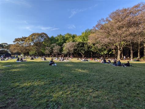 Yoyogi Park Event And Festivals 2026 Tokyos Green Oasis Guide