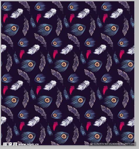 孔雀羽毛设计图 图片素材 其他 设计图库 昵图网