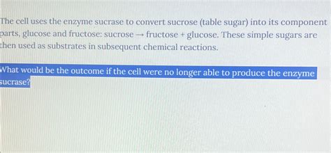 Solved The Cell Uses The Enzyme Sucrase To Convert Sucrose