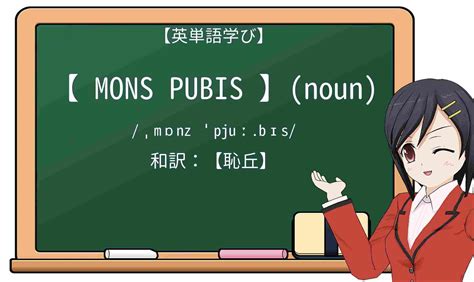【英単語】mons Pubisを徹底解説！意味、使い方、例文、読み方 おもしろい英文法