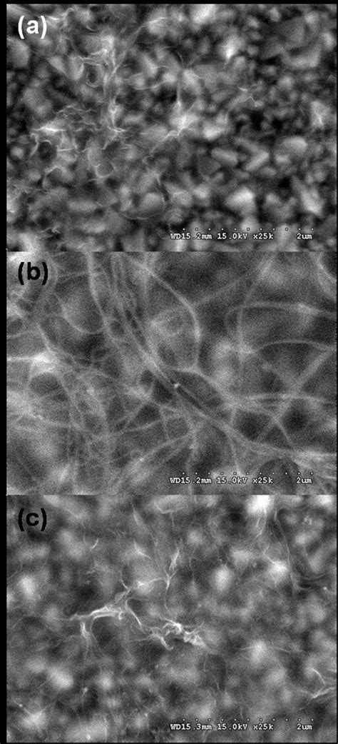 Fe Sem Images A Graphene Deposited Fto Substrate B Swnt Deposited Download Scientific