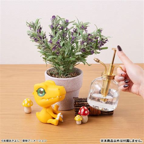 Lookup Figure Agumon Digimon Adventure Cm Kyou Hobby Shop