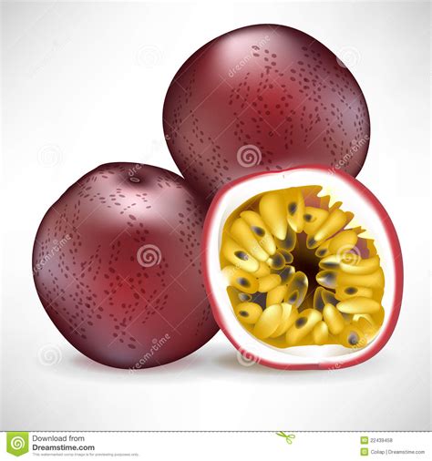 Passionfruit Clipart 20 Free Cliparts Download Images On Clipground 2024