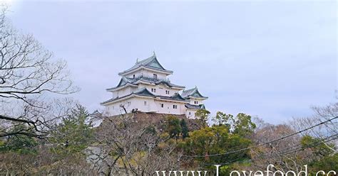【日本和歌山】和歌山城 日本百大名城之一 賞櫻賞楓景點 Wakayama Castle