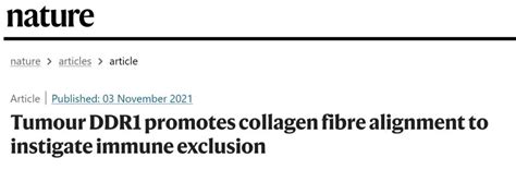 Nature热点 I Ddr1或将成为三阴乳腺癌治疗新靶点 云准医药科技（上海）有限公司
