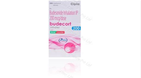 Budecort 100 Inhaler Budesonide 100mcg At ₹ 320piece Hadapsar