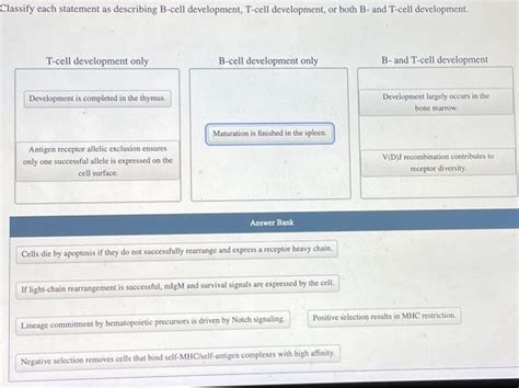 Classify Each Statement As Describing B Cell