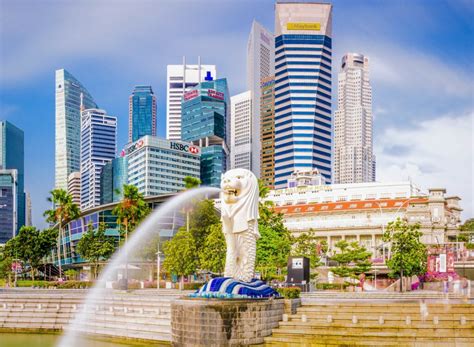 Mom Verification Asia Background Check