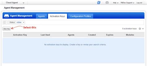 qualys cloud agent installation guide with windows and linux scripts purplebox