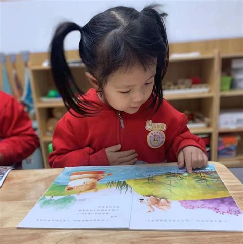 最美书香校园丨石家庄博源沐迪幼儿园阅读启动仪式